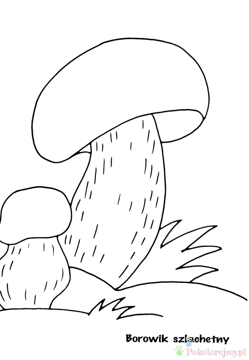 Grzybobranie, grzyby - Kolorowanki dla dzieci - Kolorowanki do wydrukowania