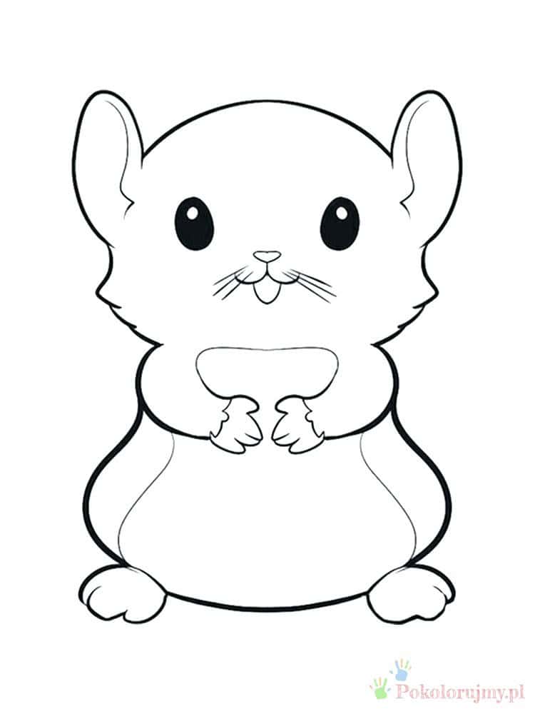 Chomik – Kolorowanki dla dzieci - Kolorowanki do wydrukowania