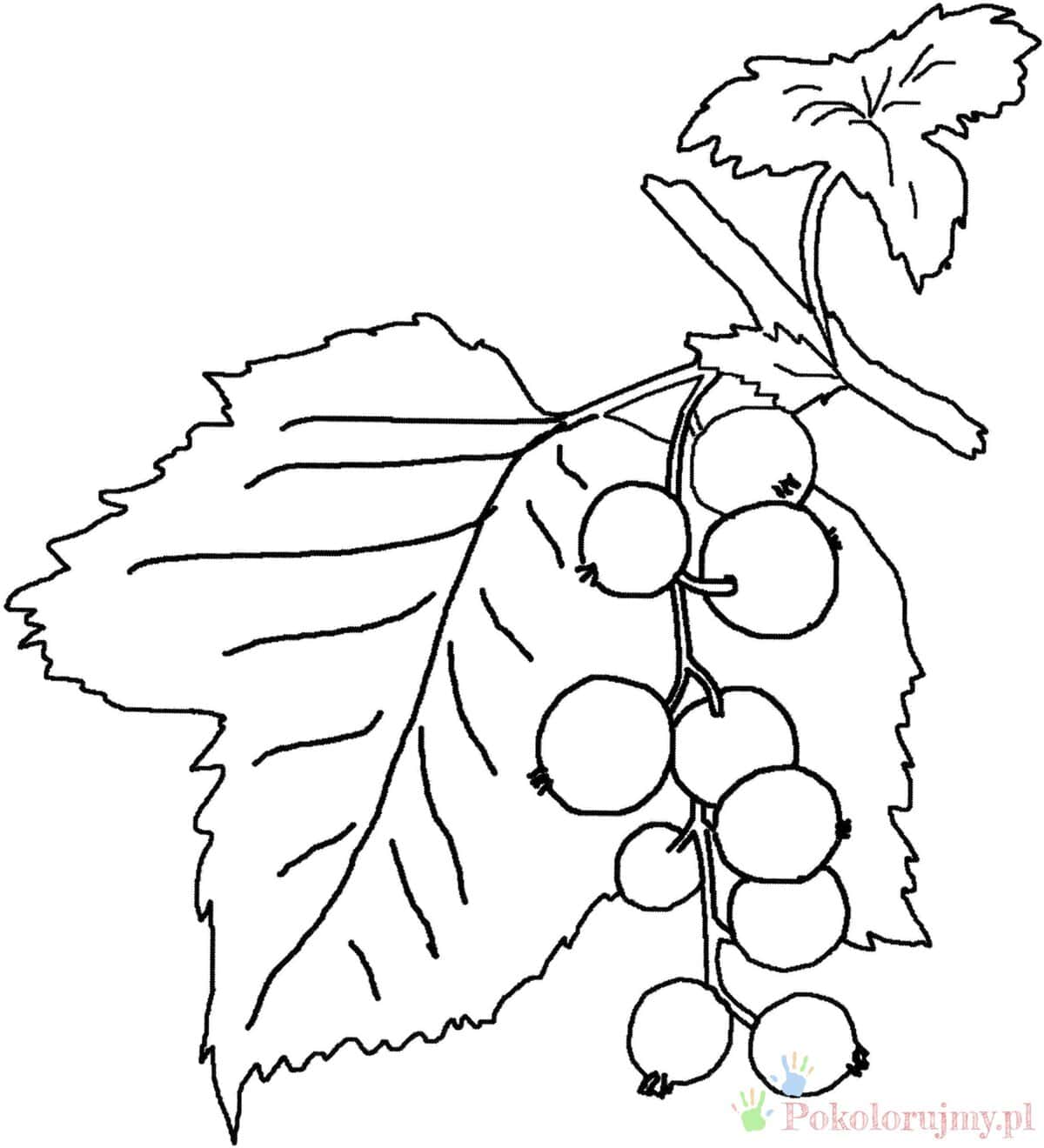 Jagoda – Kolorowanki dla dzieci - Kolorowanki do wydrukowania